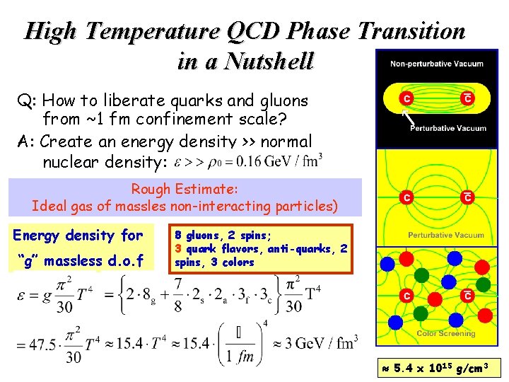 Physics of Quark Hadron Phase Transition Michal umbera