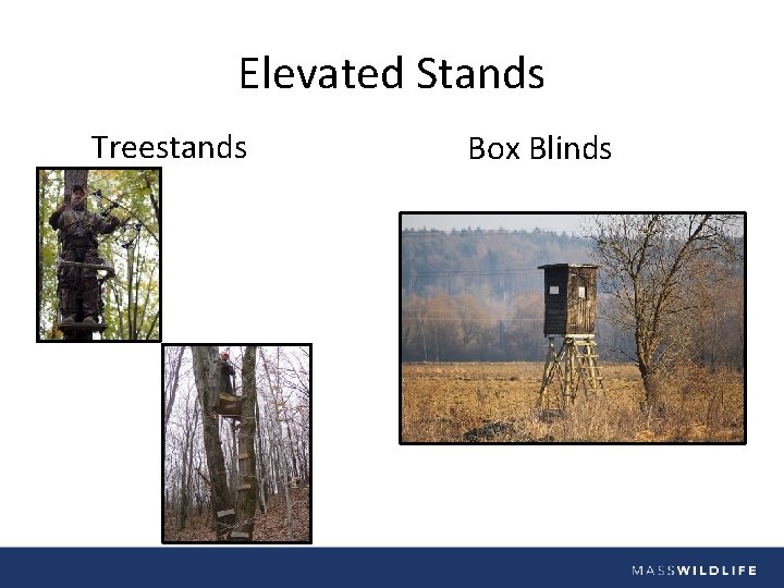 Bow Hunting Tips and Tactics Lesson 10 At