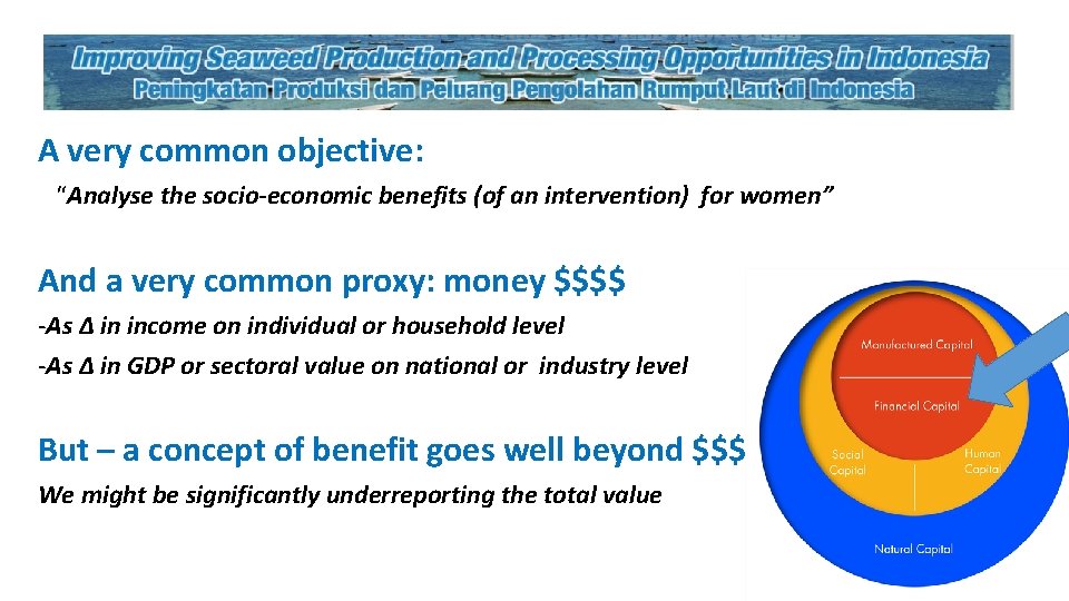 USING WELLBEING CONCEPT TO MEASURE ECONOMIC AND SOCIAL