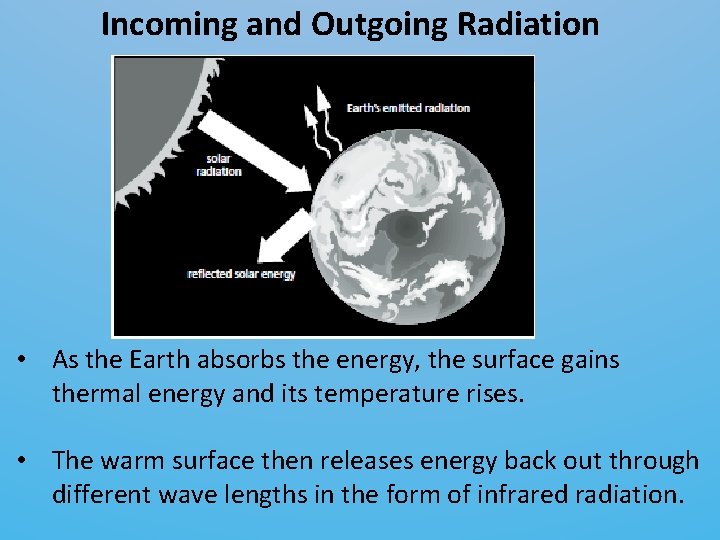 ENERGY IN THE BIOSPHERE How Does Energy Enter