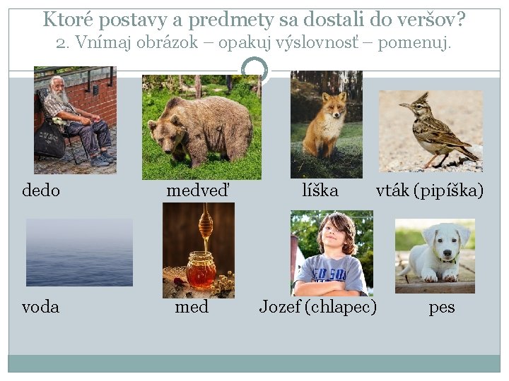 pecilna zkladn kola interntna Trebiov Rozvjanie komunikanej schopnosti