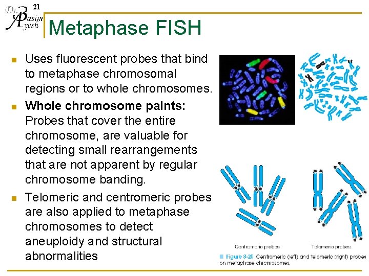 Fluorescent in situ Hybridization FISH Principles and Applications