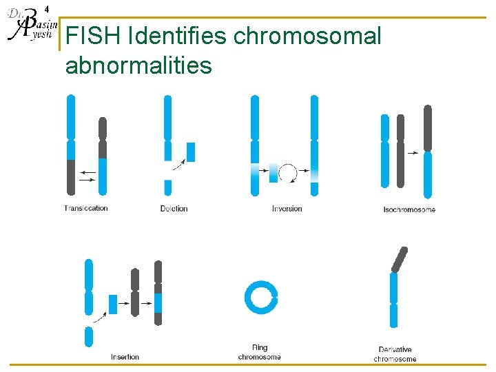 Fluorescent in situ Hybridization FISH Principles and Applications