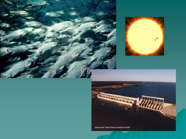 Les ressources naturelles mondiales Ressource naturelle u Ressources