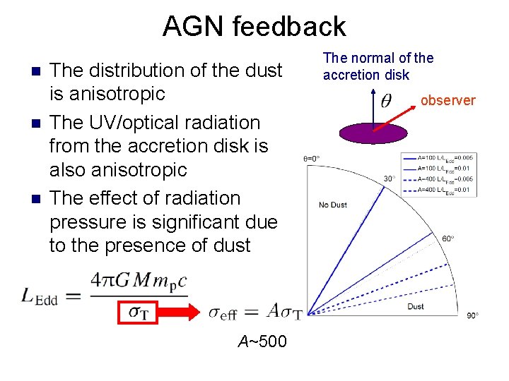 Dusty Torus Formation by Anisotropic Radiative Pressure Feedback