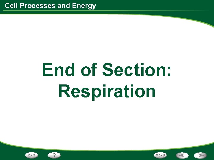 Cell Processes and Energy Table of Contents Photosynthesis