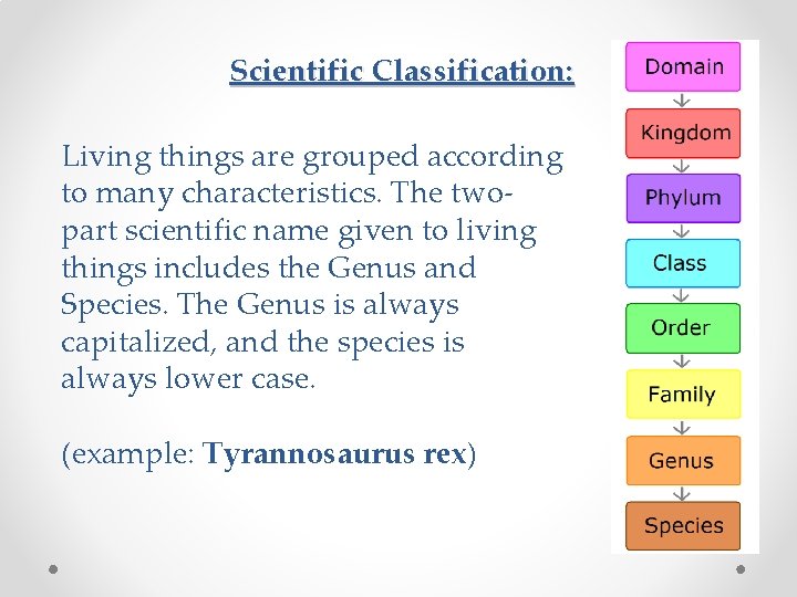 th 7 Grade TEST Review METRICS The international