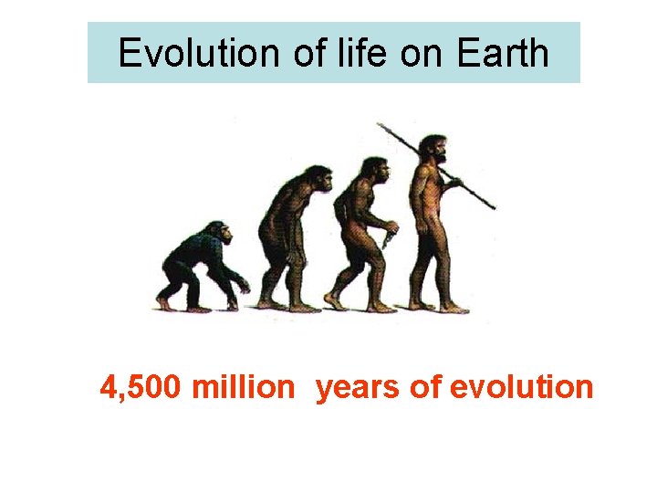Evolution of life on Earth 4 500 million