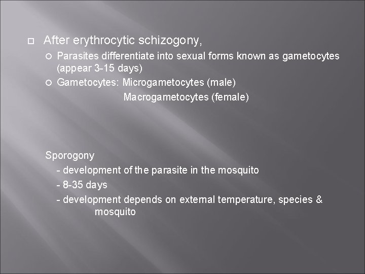 MALARIA Lifecycle Sporozoites infective stage of the parasites
