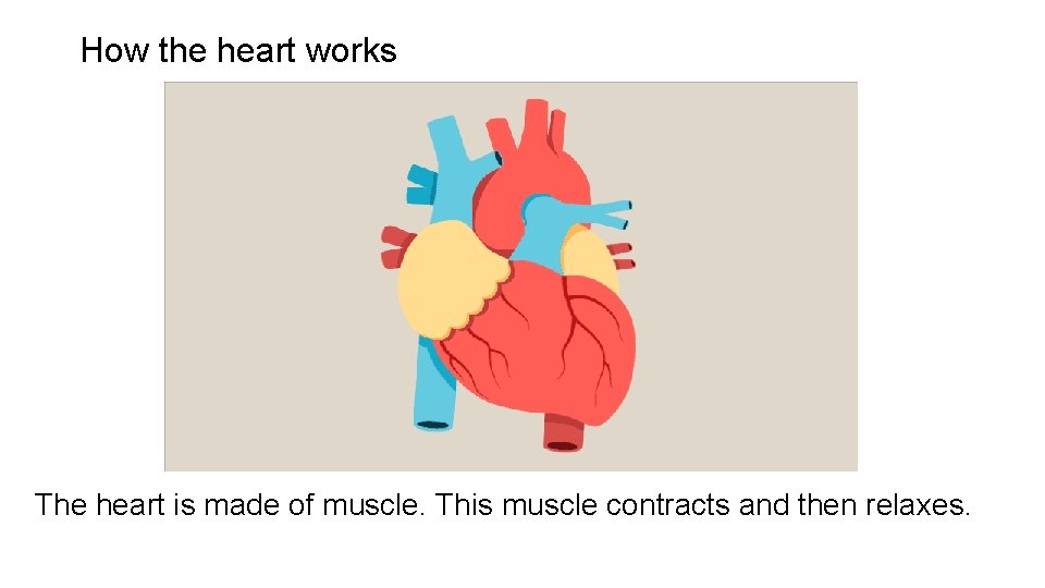 3 2 The heart Unit 3 The human