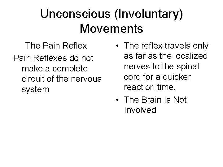 The Central Nervous System The Nervous System Contains