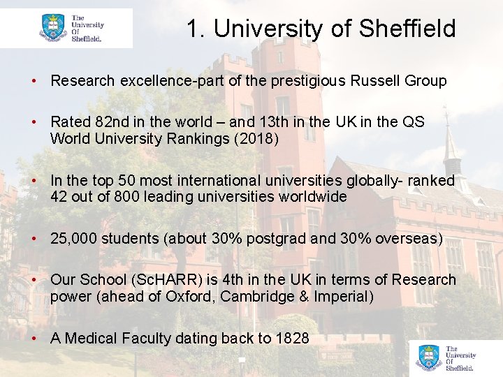 University of Sheffield Michelle Holdsworth Professor of Public