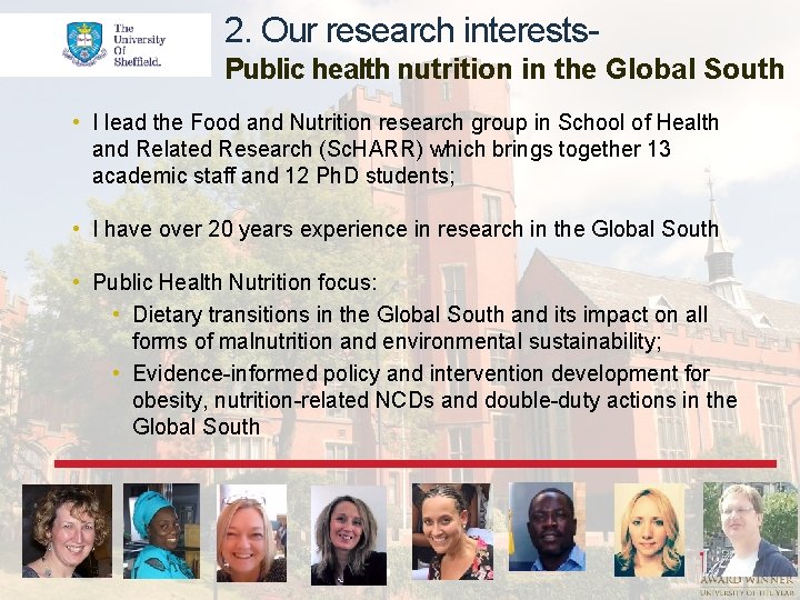 University of Sheffield Michelle Holdsworth Professor of Public