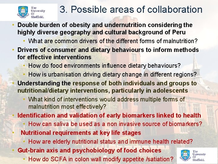 University of Sheffield Michelle Holdsworth Professor of Public