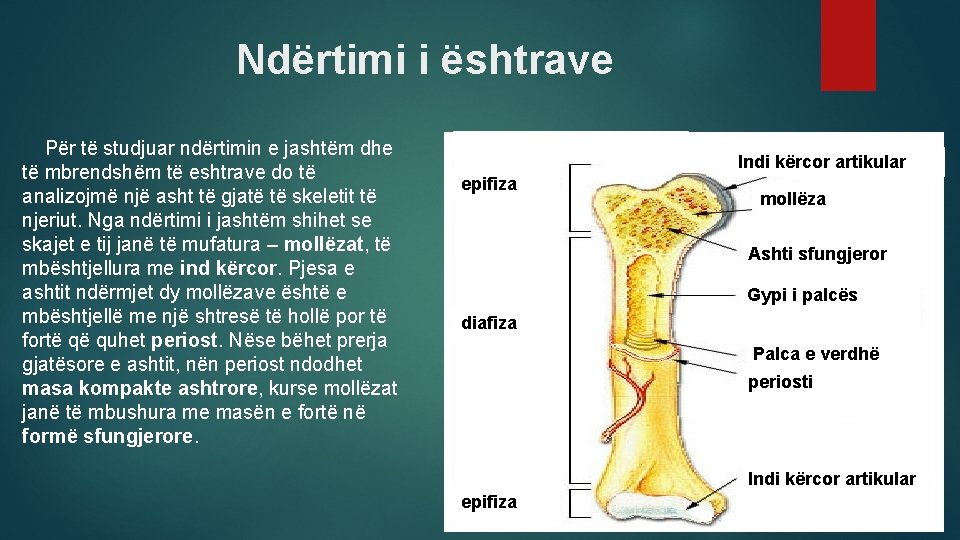 Qendra Burimore Nn Tereza Lnda Biologji Klasa VII