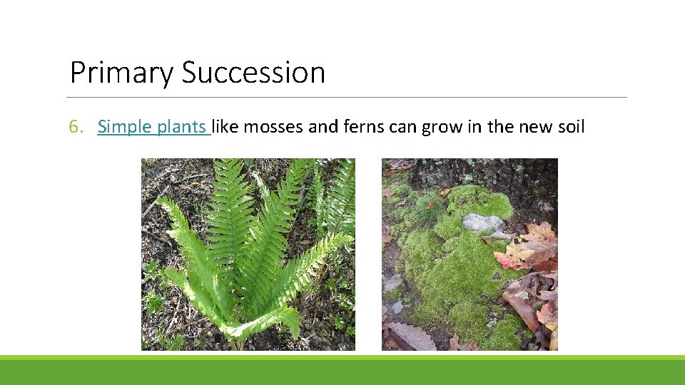 Unit 2 Ecology 2 7 ECOLOGICAL SUCCESSION What