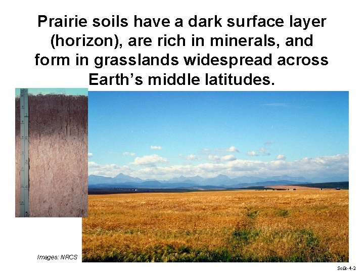 SOIL Unit 2 Environmental Science Mrs Fleming Soil