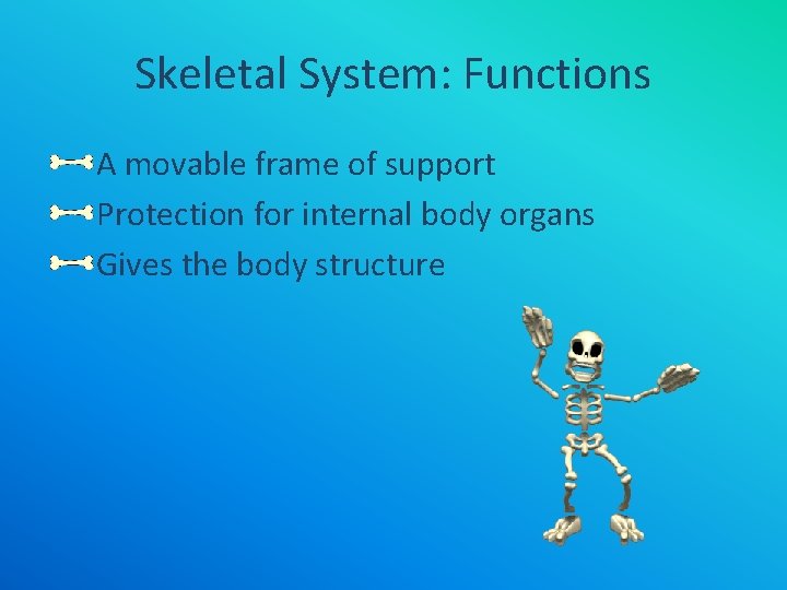 Skeletal System Jessica White Caitlyn Terry Anita Falade