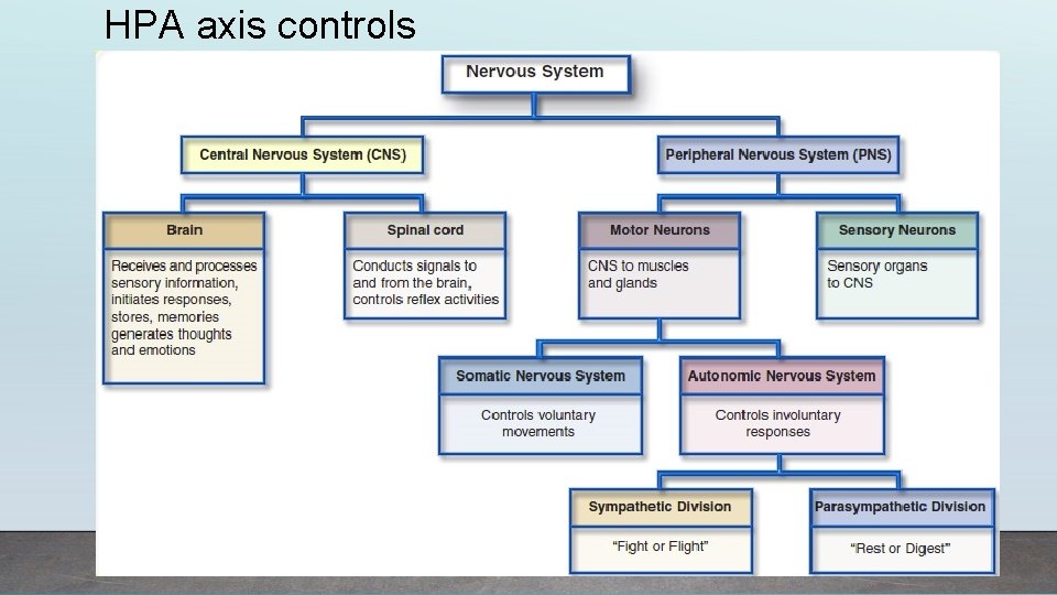 THE HPA AXIS RESEARCH PUT INTO CLINICAL PRACTICE
