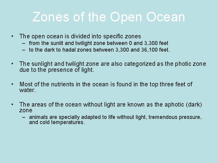 Coral Reef solid structures built from the remains