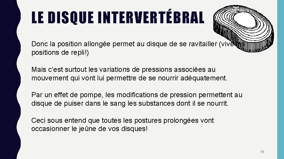 COLE DE DOS CAPSULE 8 Anatomie relie la