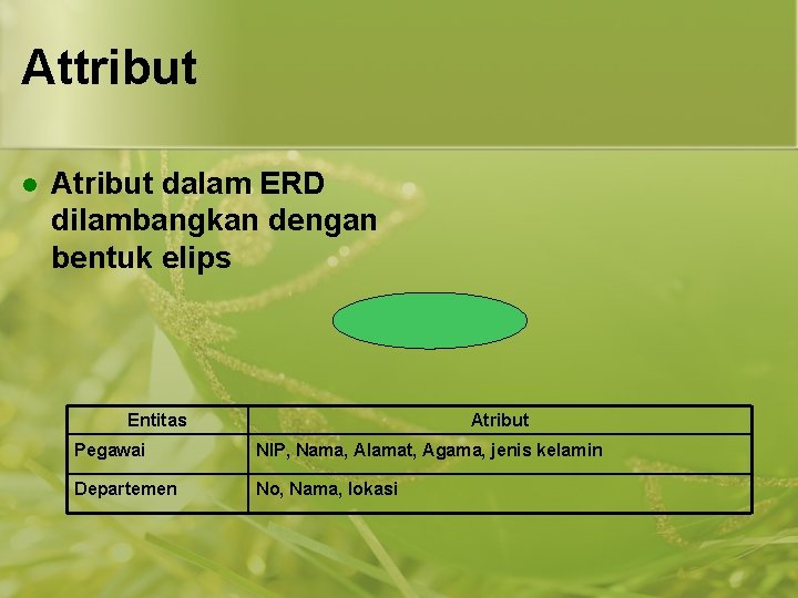 ENTITY RELATIONSHIP DIAGRAM BY NUR HIDAYA BUKHARI 102904037