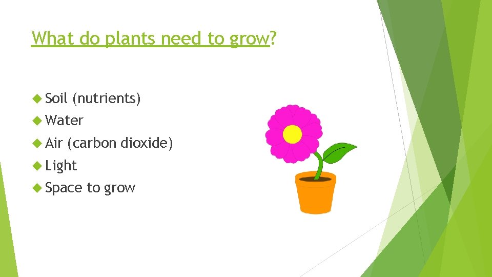 Plants Chapter 1 Review What do plants need
