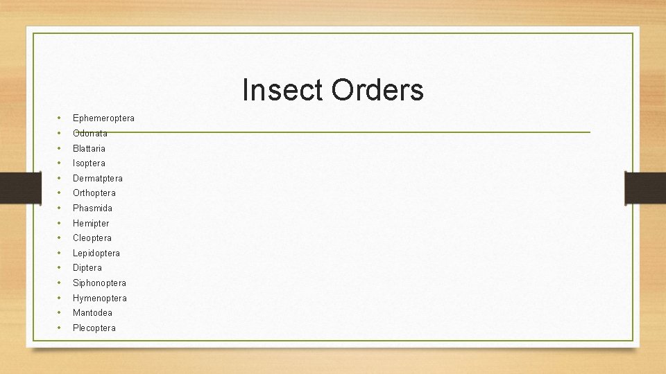 Insect Taxonomic Diversity By Tcorey Bell Zoology 3