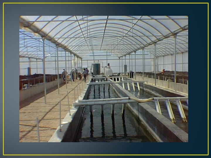Types of Aquaculture Systems What are the types