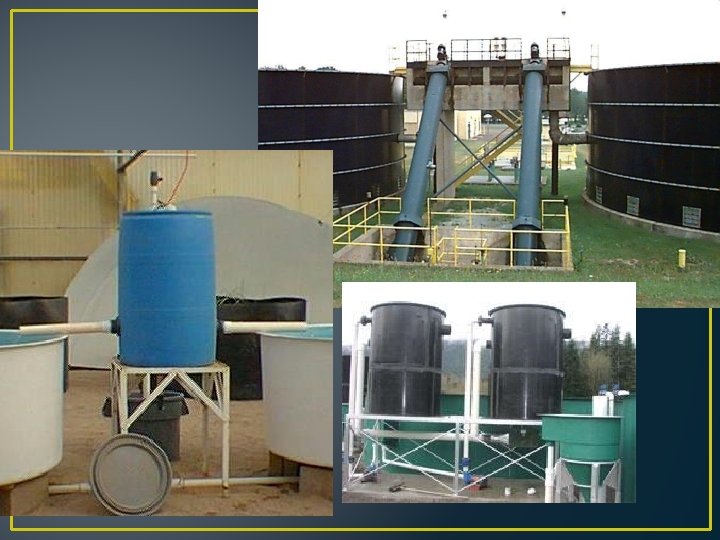 Types of Aquaculture Systems What are the types