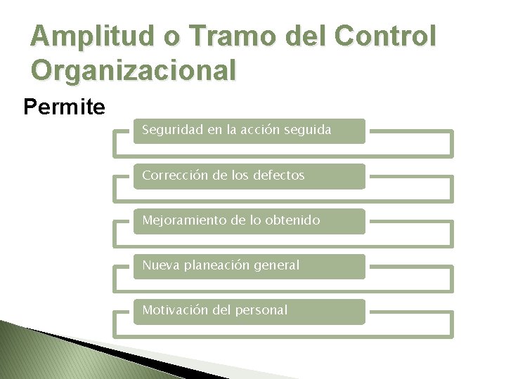 UNIDAD III Etapas del Proceso Administrativo Facilitador Ing