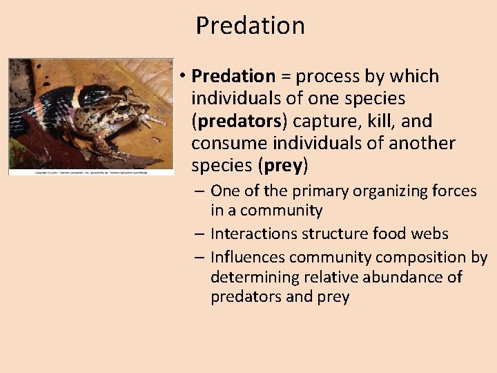 Species Interactions Case Study Black white and spread