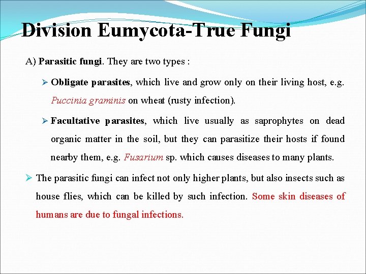 Microbiology Introduction to Mycology FUNGI Fungi are eukaryotic