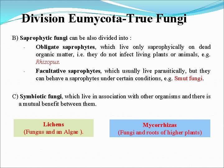 Microbiology Introduction to Mycology FUNGI Fungi are eukaryotic