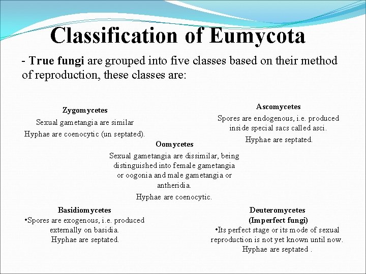 Microbiology Introduction to Mycology FUNGI Fungi are eukaryotic