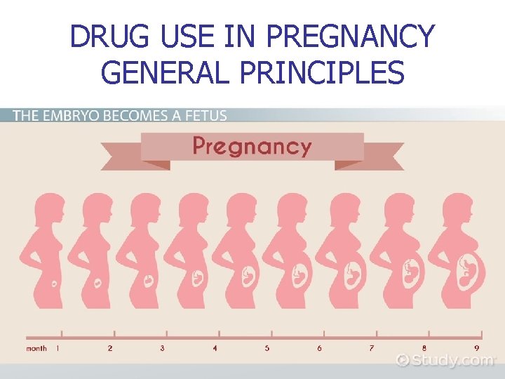 DRUG USE IN PREGNANCY GENERAL PRINCIPLES History Until