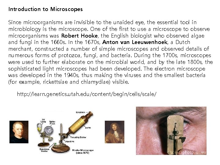Introduction to Microscopes Since microorganisms are invisible to