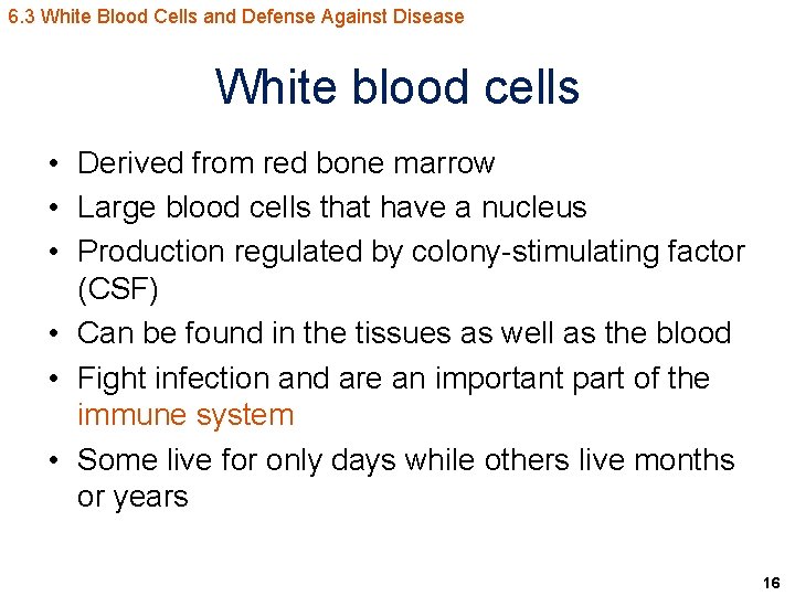 Chapter 06 Lecture Outline See separate Power Point