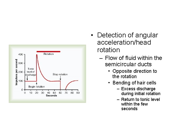 Importance of somatosensory feedback to the motor cortex