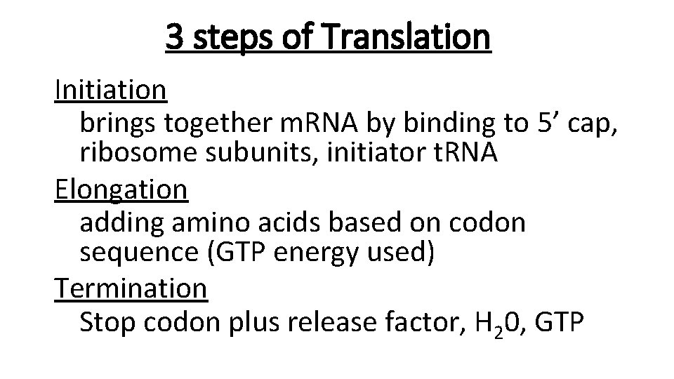 Translation Reading the instructions and building a protein