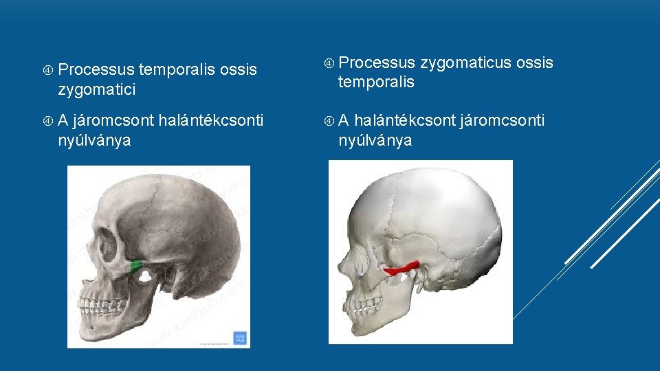 FOK LATIN 1 HT Orientci kiejtsi szablyok Tanr