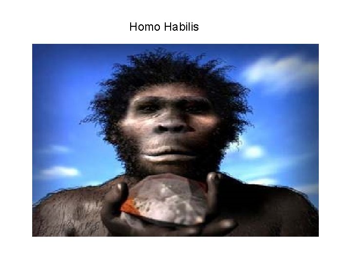 Early Human Classifications Out of Africa Homo Habilis