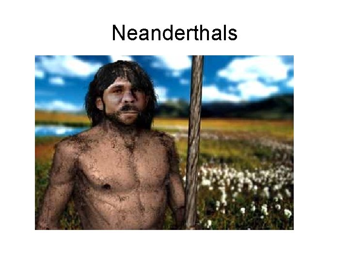 Early Human Classifications Out of Africa Homo Habilis