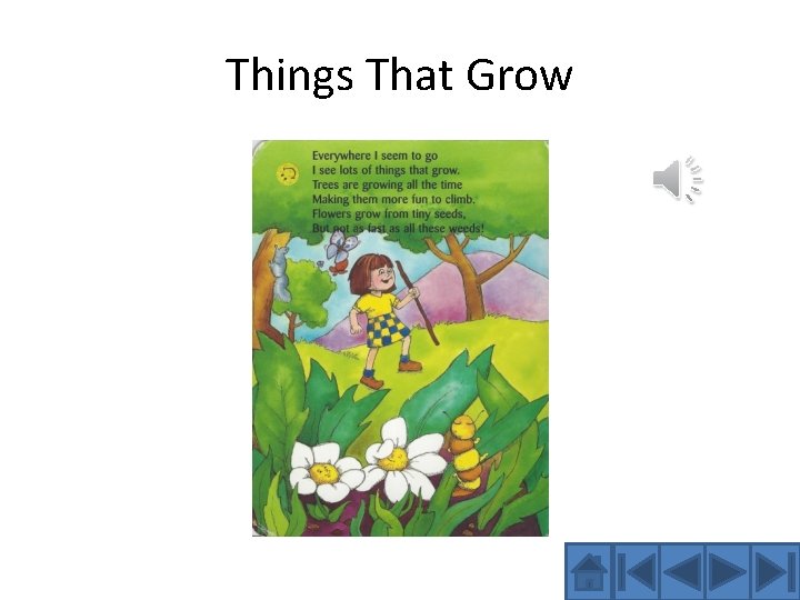 Things That Grow Illustrated by Renee Trachtenberg 1997