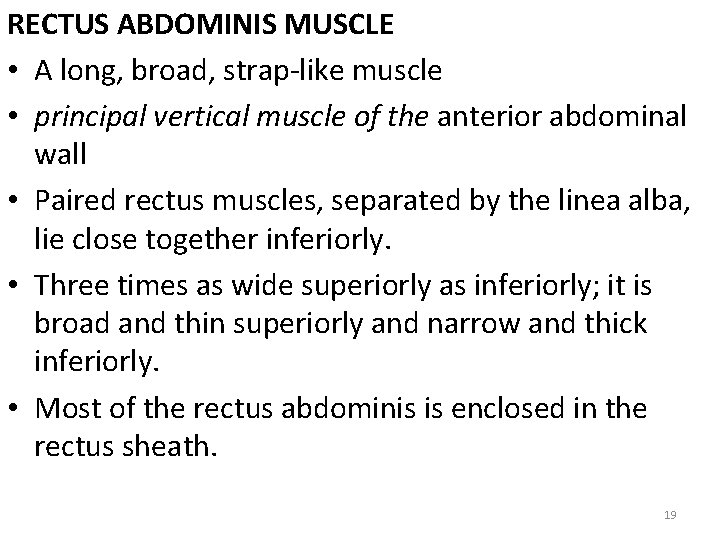 Abdomen Pelvis and Perineum ANA 301 Course Outline