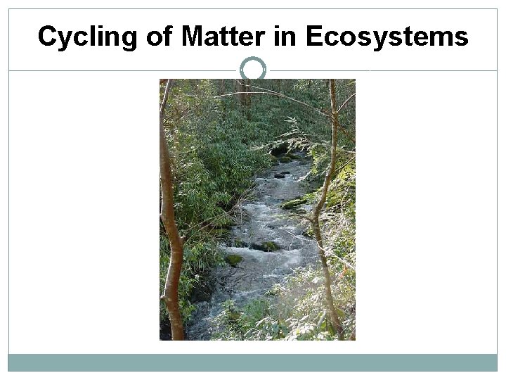 Cycling of Matter in Ecosystems Sustaining Life on