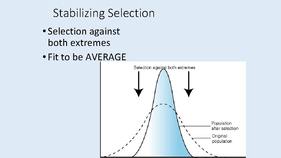 Happy Mondays 21317 Which scientist proposed that organisms