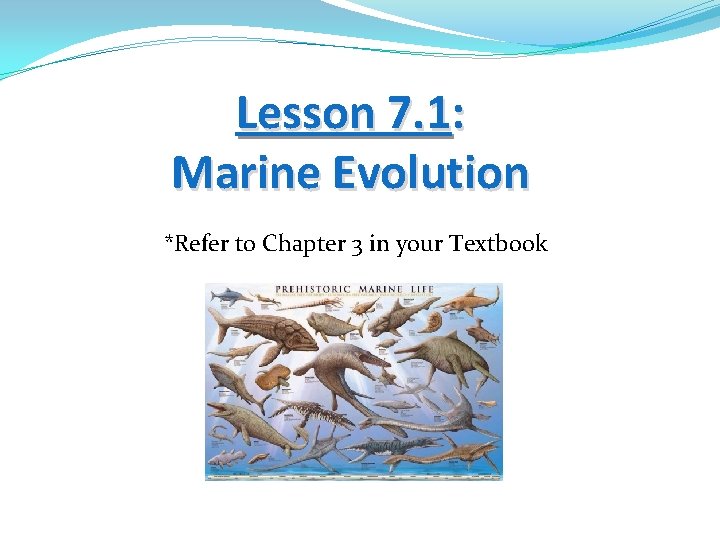 Lesson 7 1 Marine Evolution Refer to Chapter