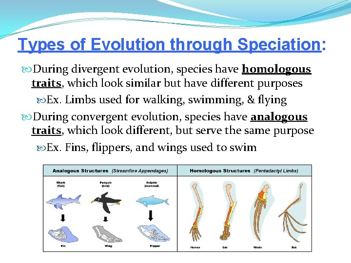 Lesson 7 1 Marine Evolution Refer to Chapter