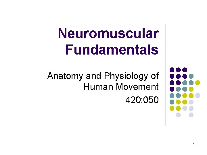 Neuromuscular Fundamentals Anatomy and Physiology of Human Movement